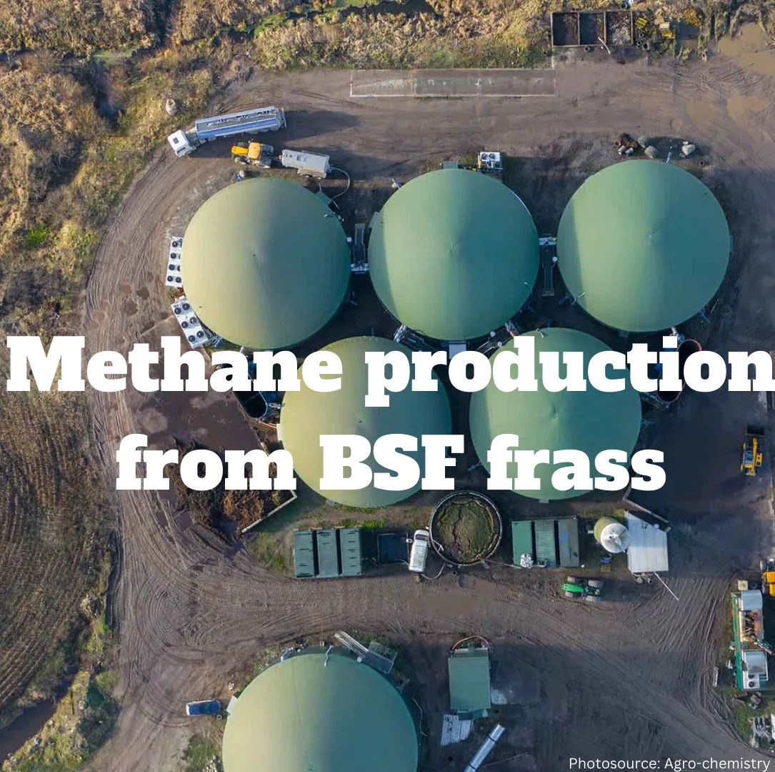 Bio-Methane Potential of Insect Frass - Insect School