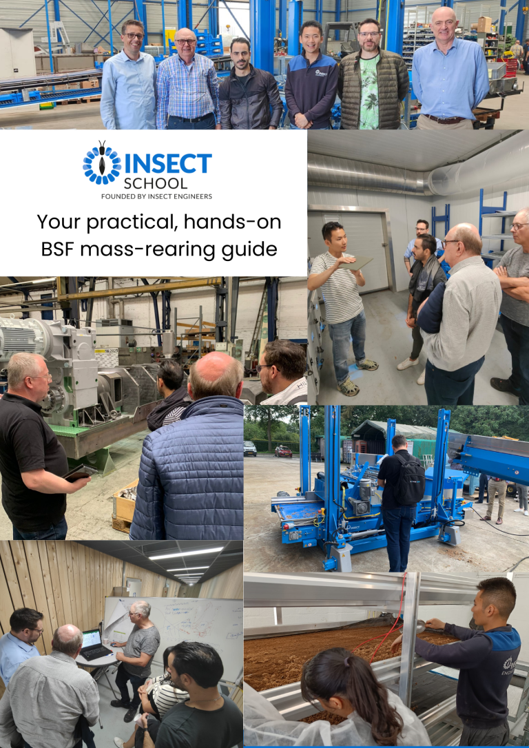 Launch Your BSF Farming Business in Just 3 Days! - Insect School