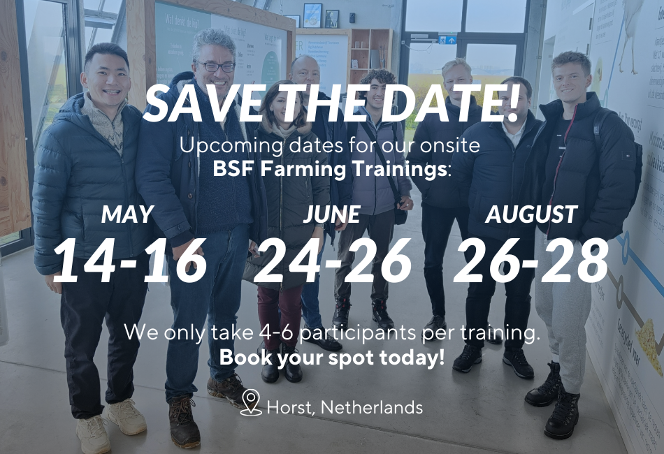 3-DAY BSF FARMING TRAINING - Insect School