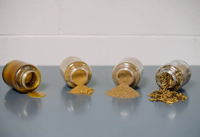 Machinery for BSF Chitosan and Oil Production - Insect School