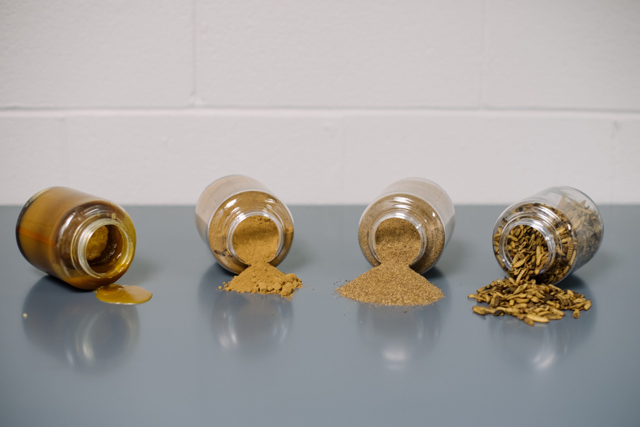 Machinery for BSF Chitosan and Oil Production - Insect School