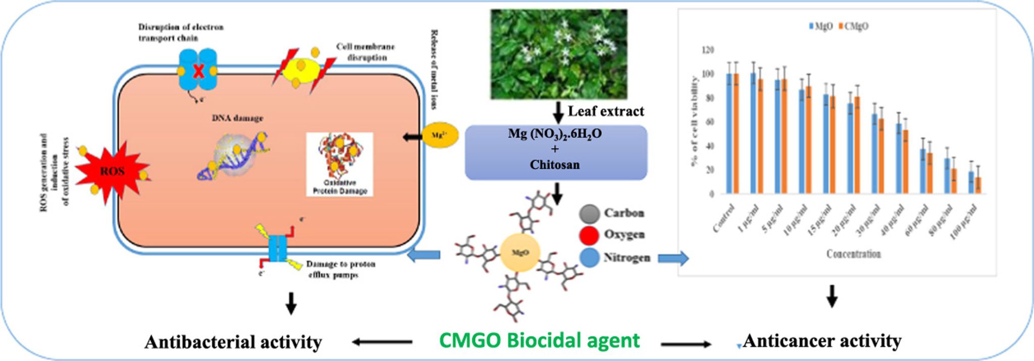 Second Life of Chitosan - Insect School