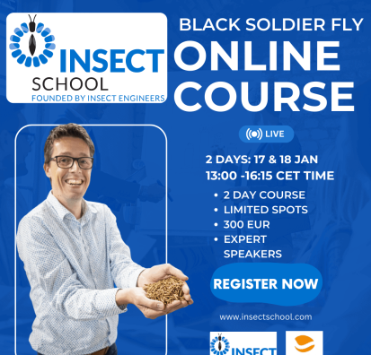 Black soldier fly promising enrichment of layers - Insect School