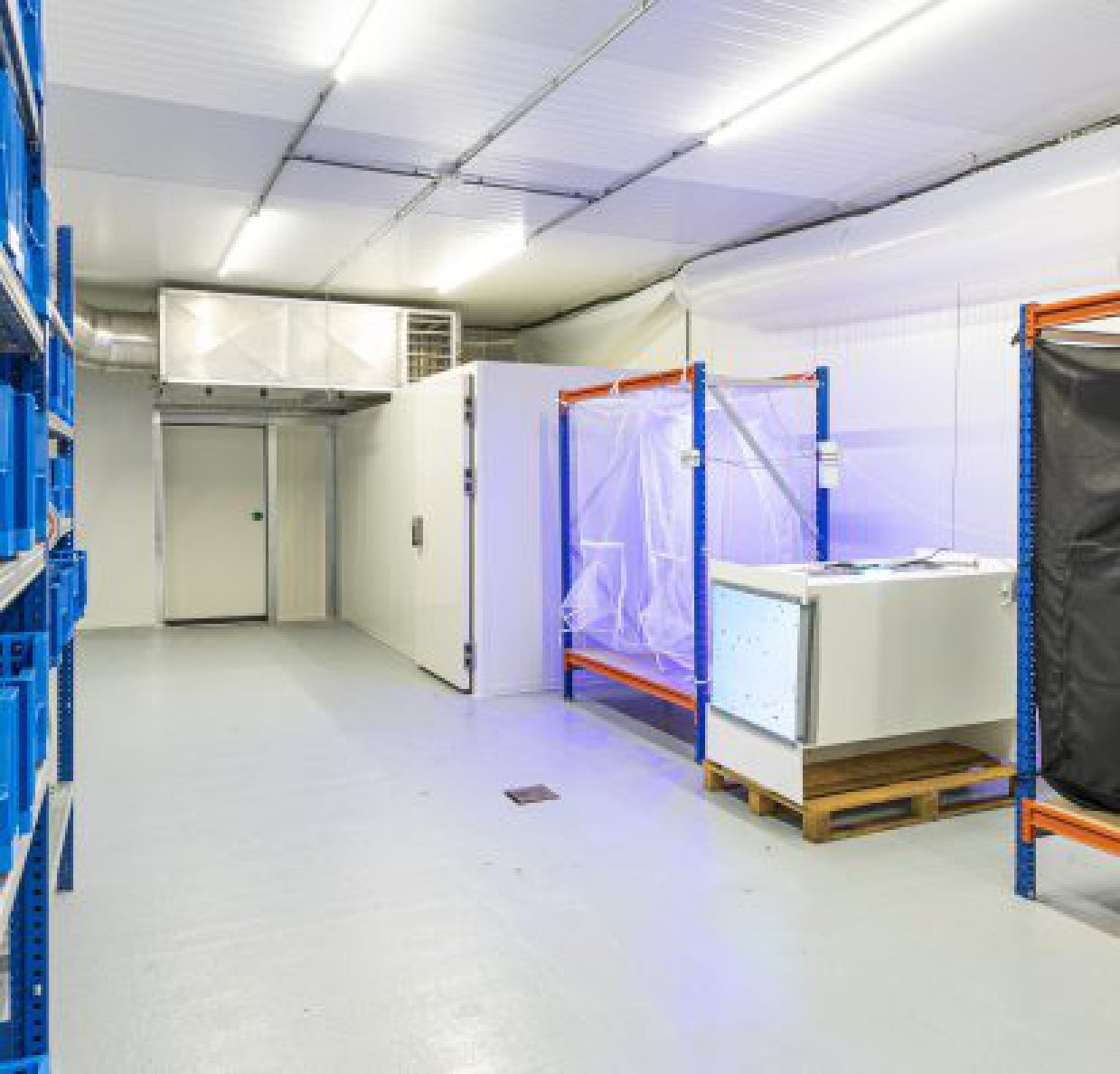 Q&A: What is the ideal size for a Black Soldier Fly pilot facility ...