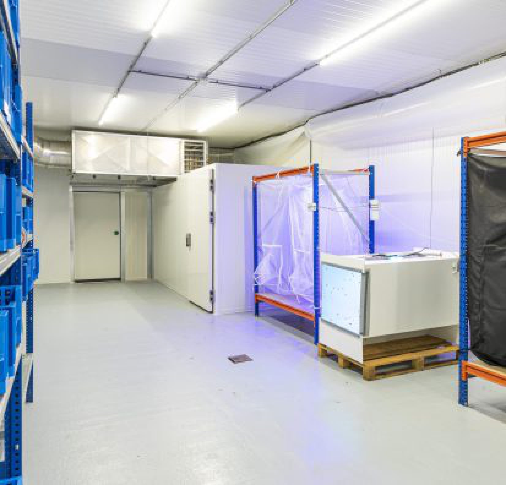 Q&A: What is the ideal size for a Black Soldier Fly pilot facility ...