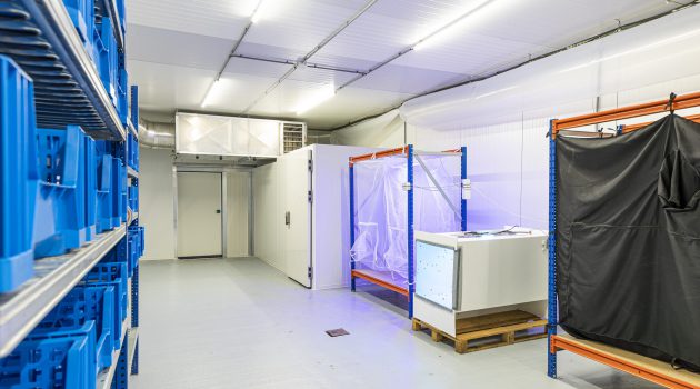 Insect School - News & analysis on the global BSF industry