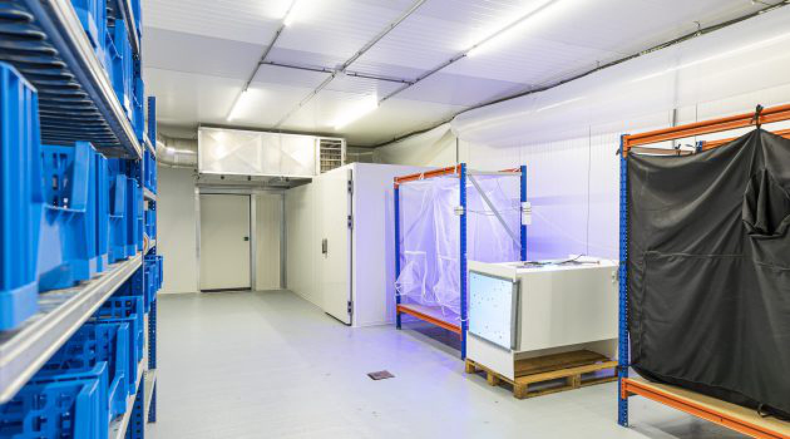 Insect School - News & analysis on the global BSF industry