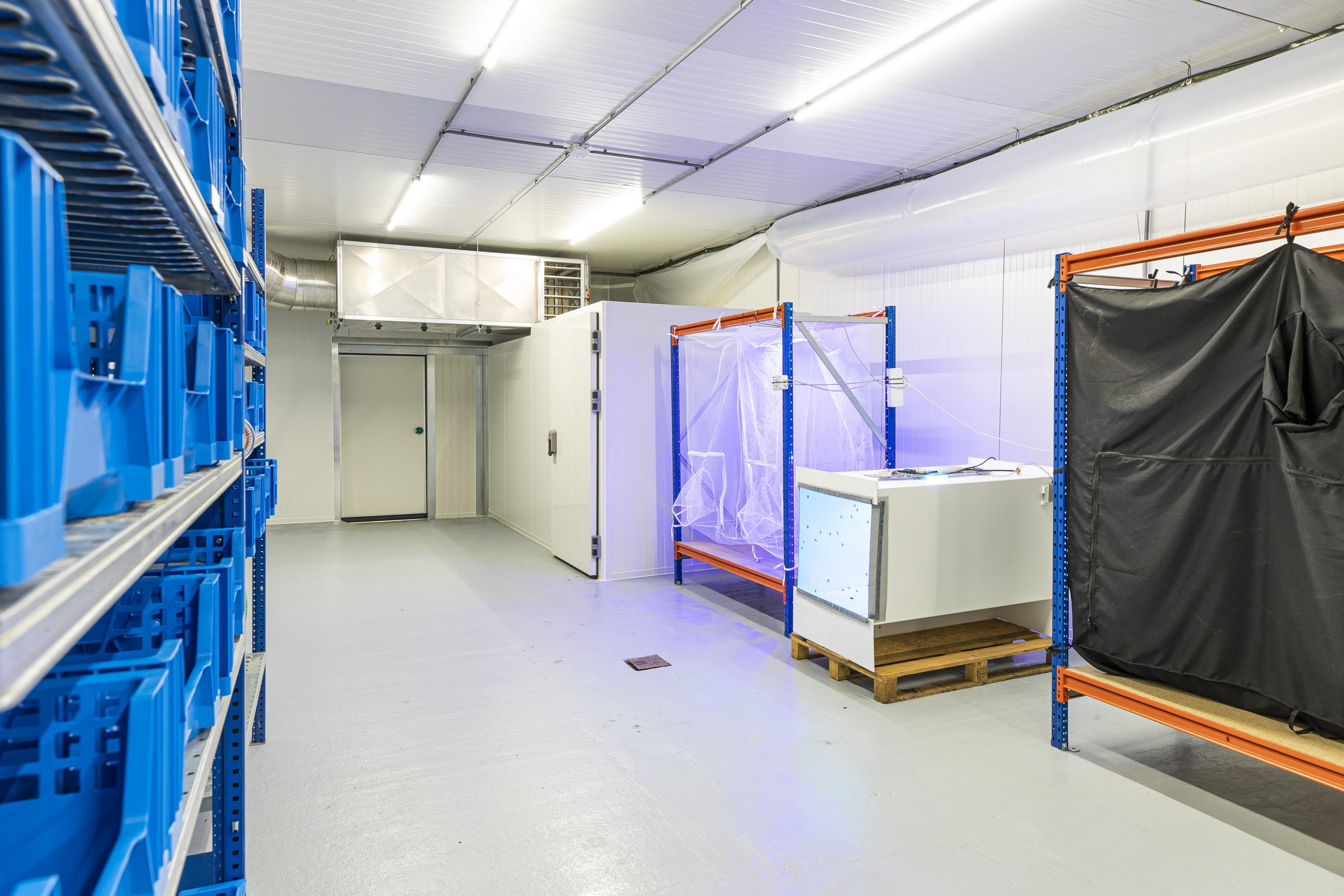 Q&A: What is the ideal size for a Black Soldier Fly pilot facility ...