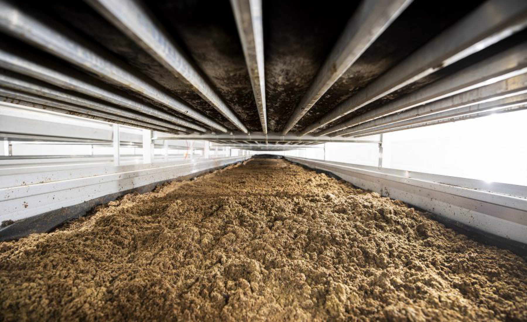 School & Test Center - Insect School