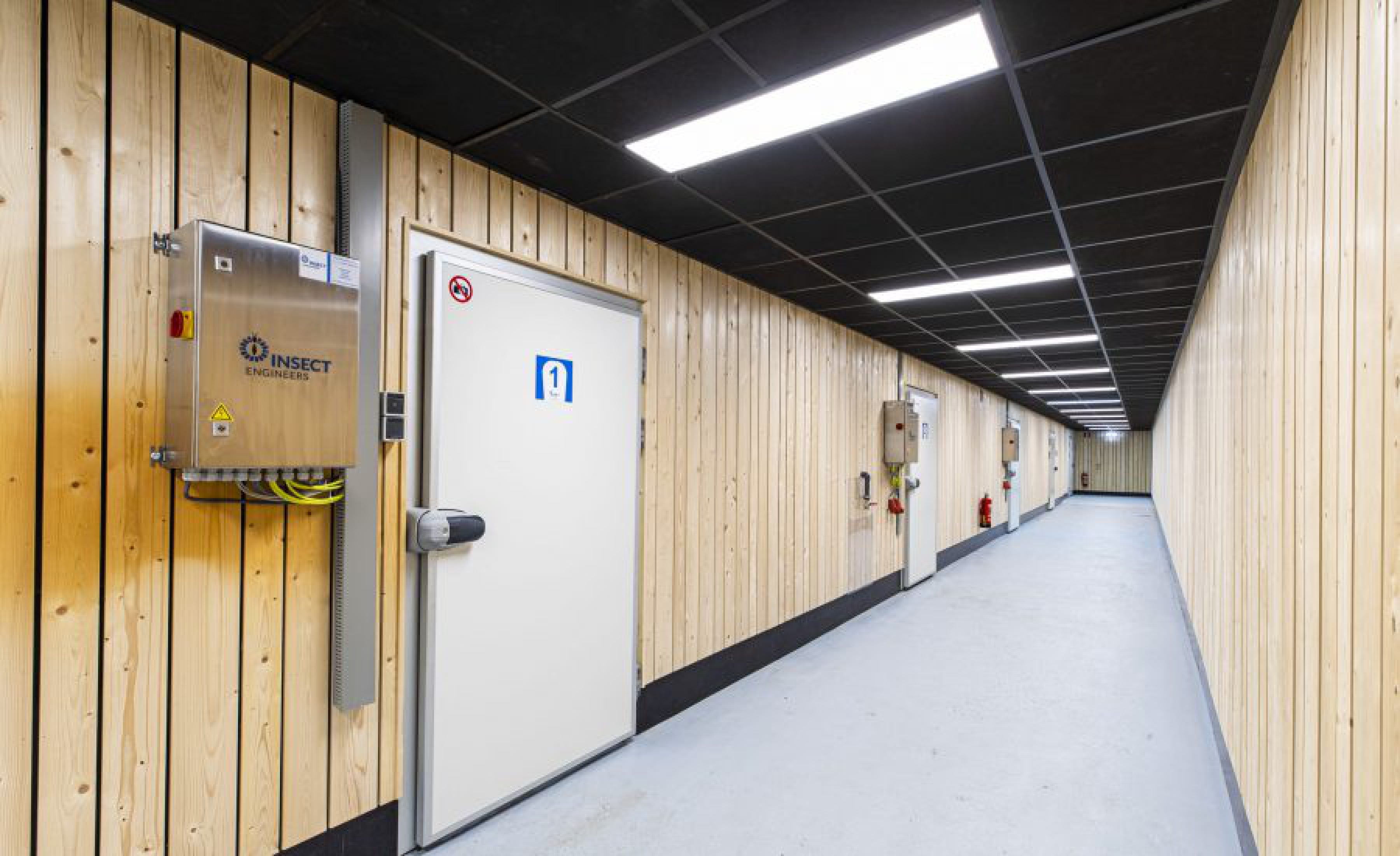 For Education - Insect School