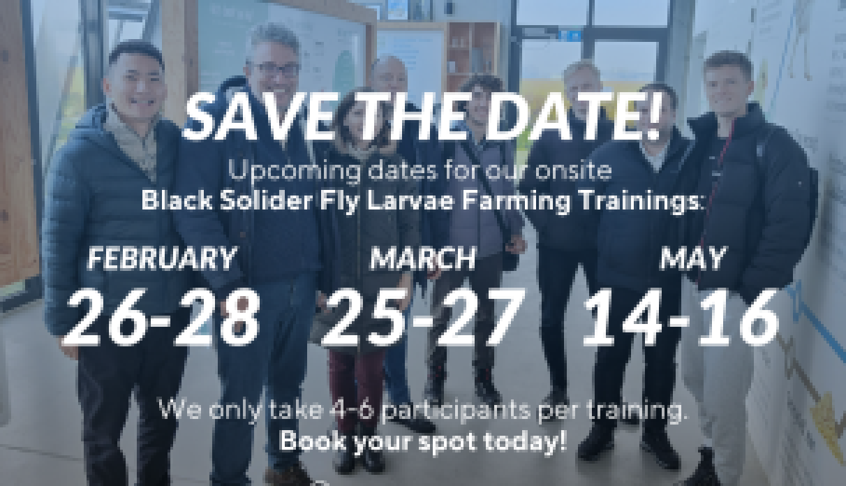 News - Insect School