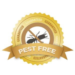 Black Soldier Fly - A Natural Solution to Waste Pest Infestation ...