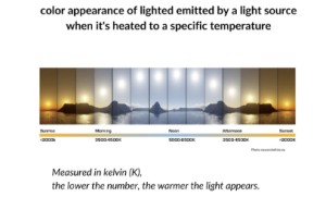 The Impact of Light Temperature on Black Soldier Fly Breeding