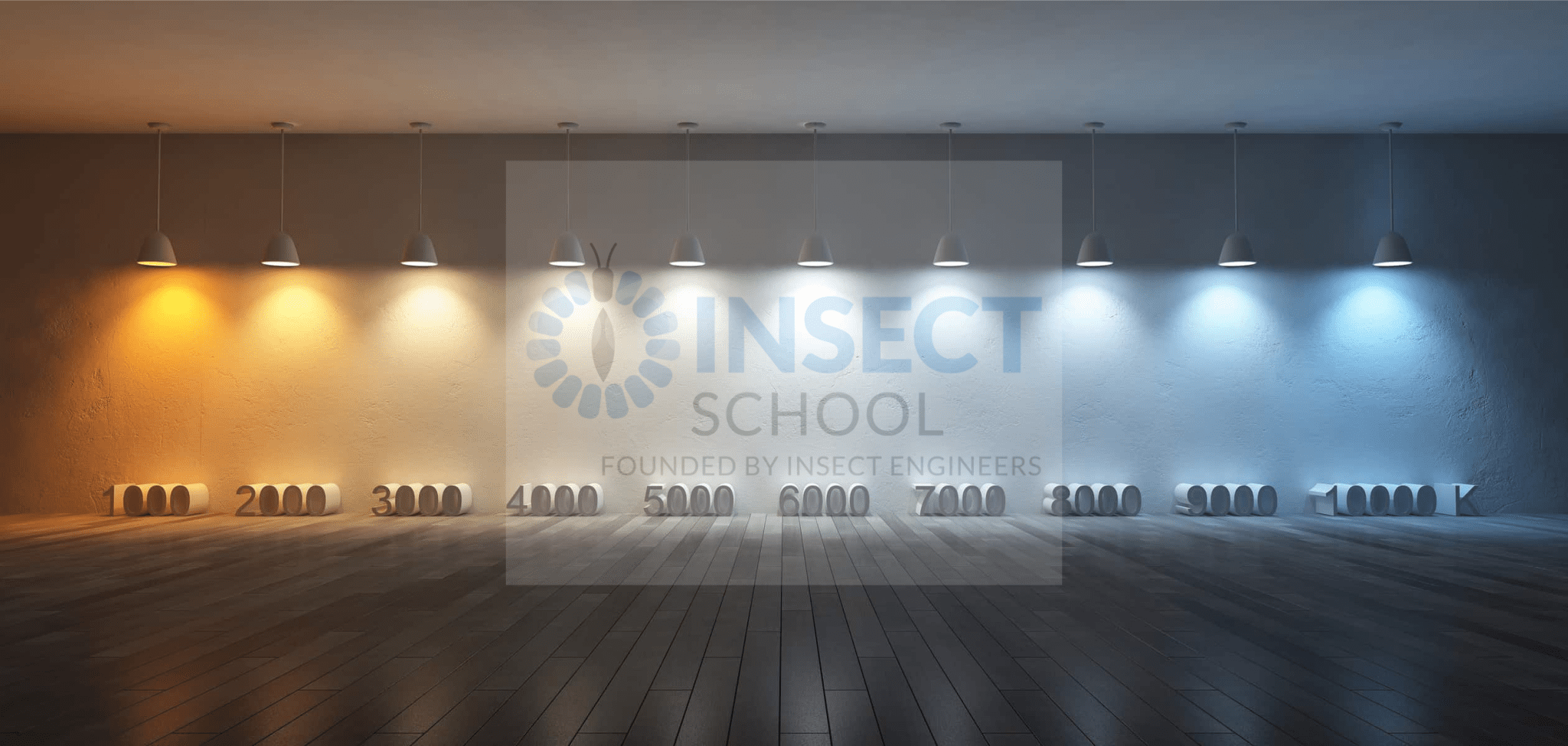Artificial Light Selection for Enhanced BSF Egg Production - Insect School