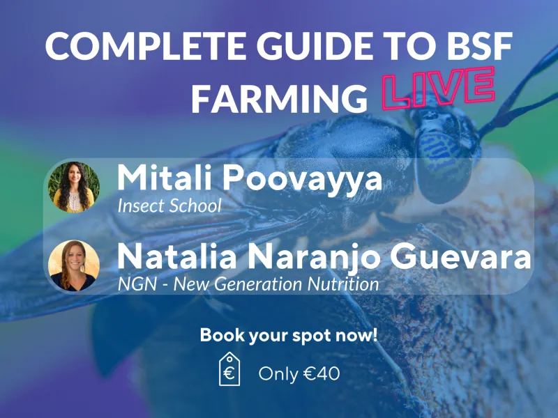 Insect School - News & Analysis on the global BSF industry