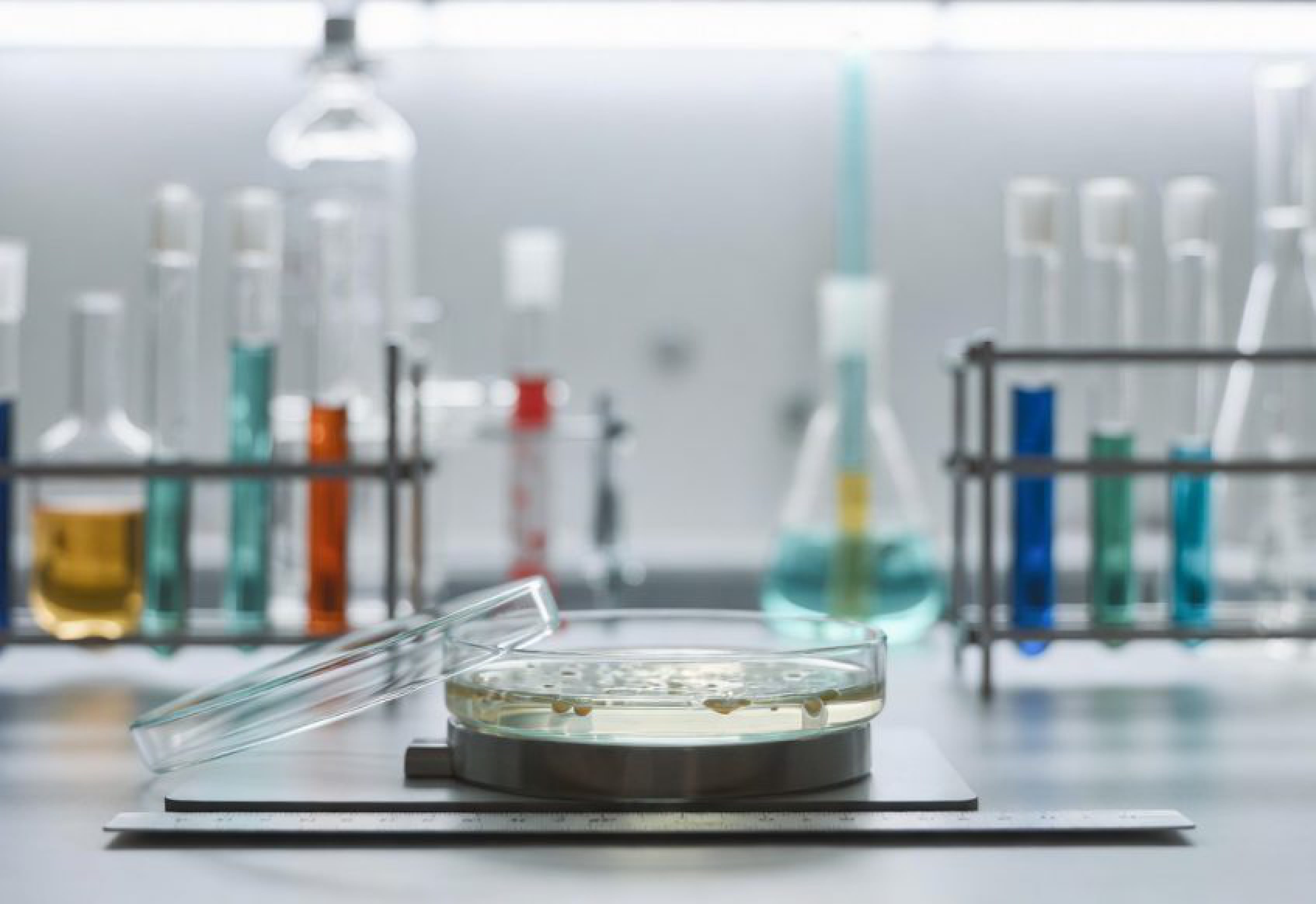 Understanding Pathogen Risks in Black Soldier Fly Production: An ...