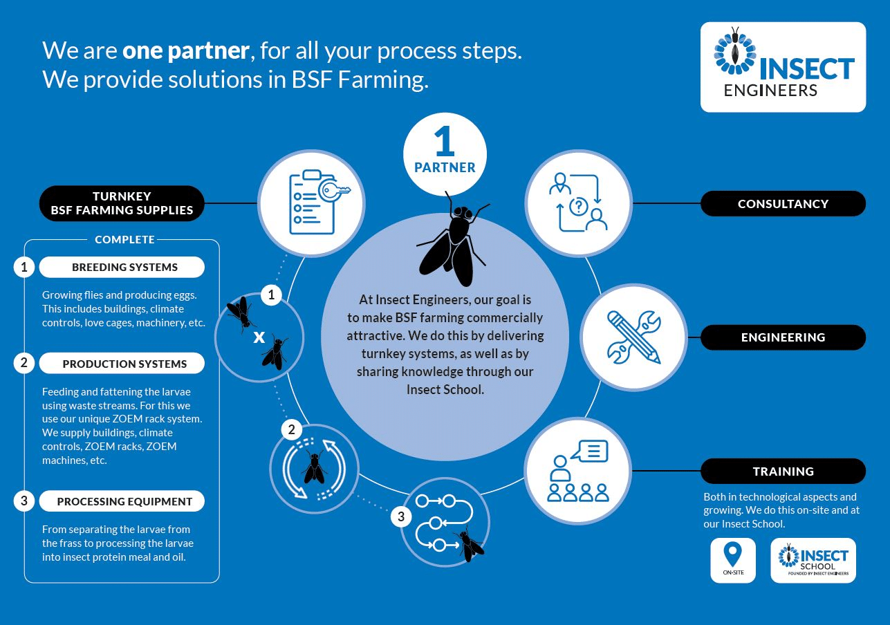 Q&A: What possible industrial options do I have to grow BSF? - Insect ...
