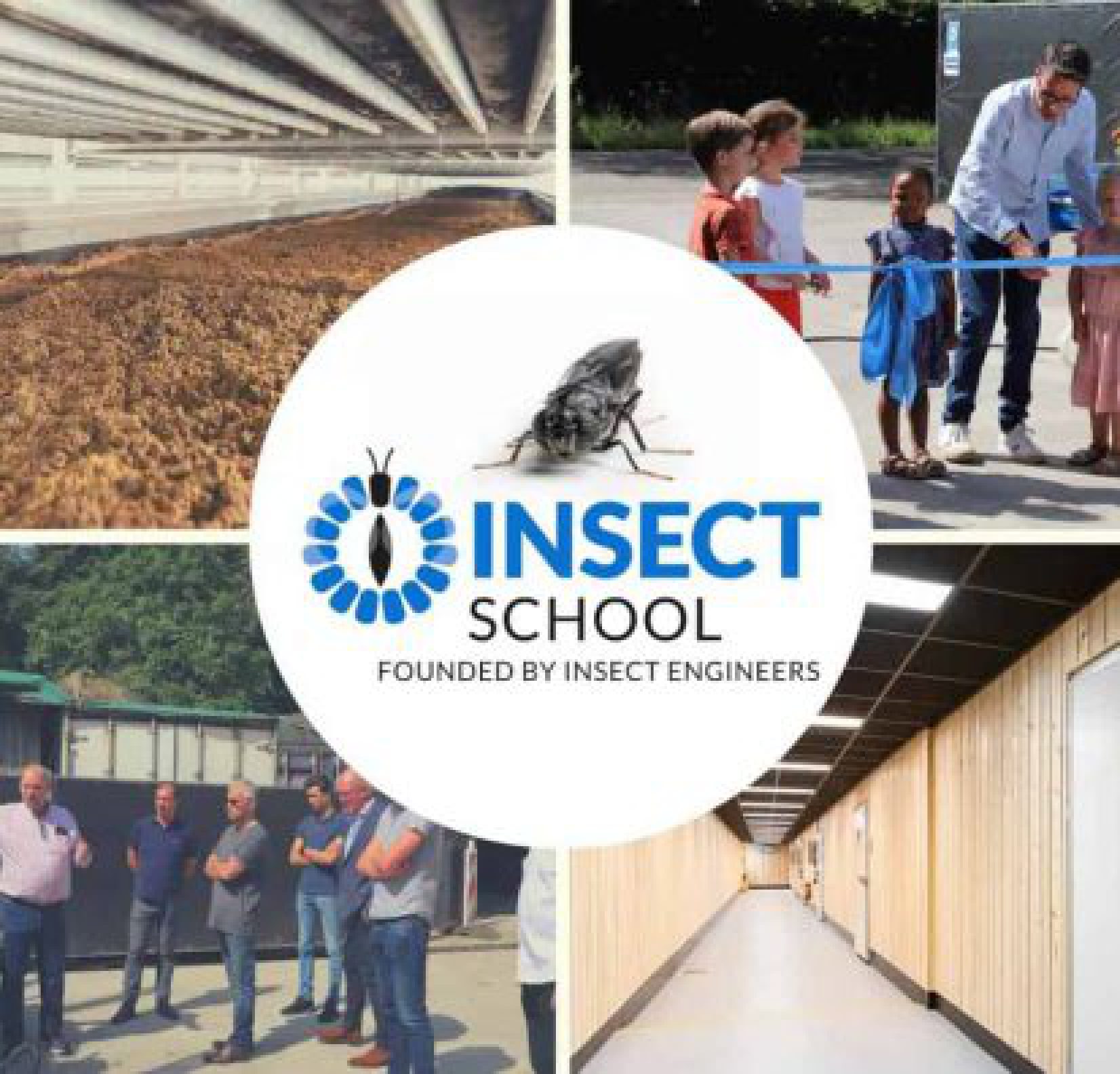 Q&A: How can I start trial at the Insect School? - Insect School