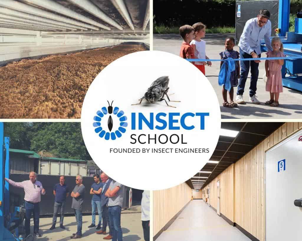 Q&A: How can I start trial at the Insect School? - Insect School