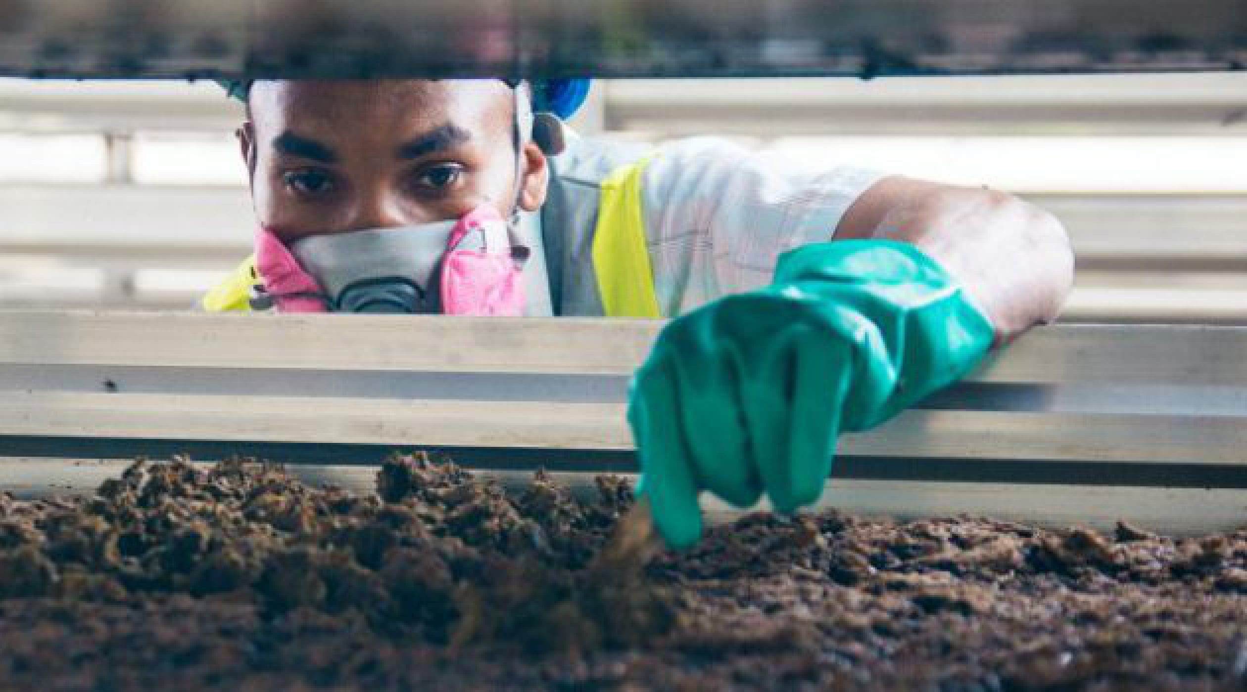 Insect School - News & analysis on the global BSF industry