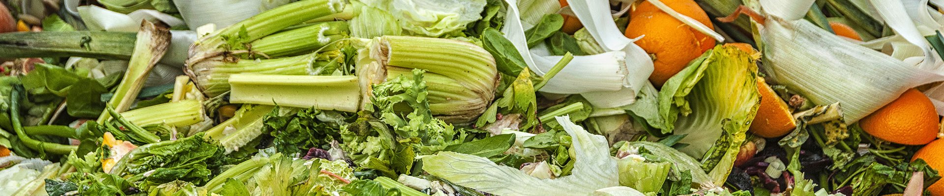 Waste & Recycling - Insect School